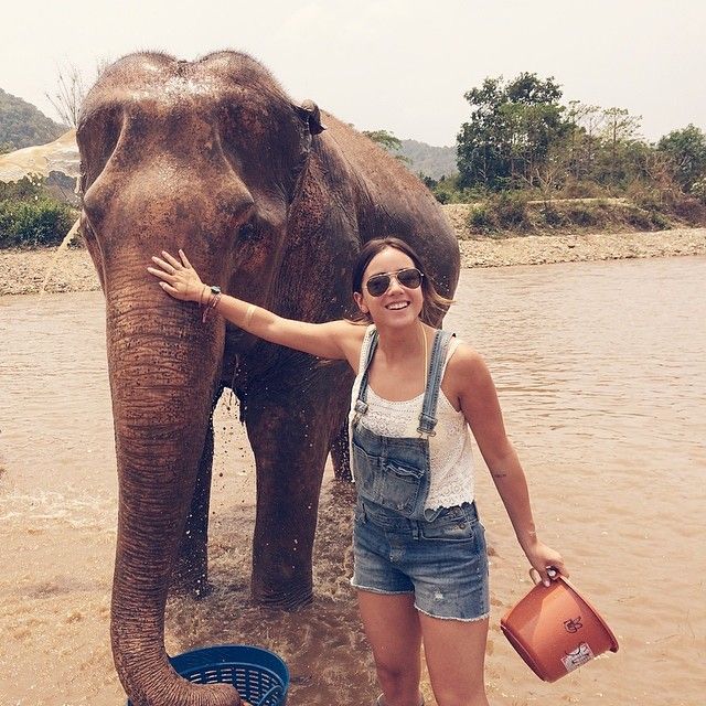 Elephant Whisperer | Scrolller