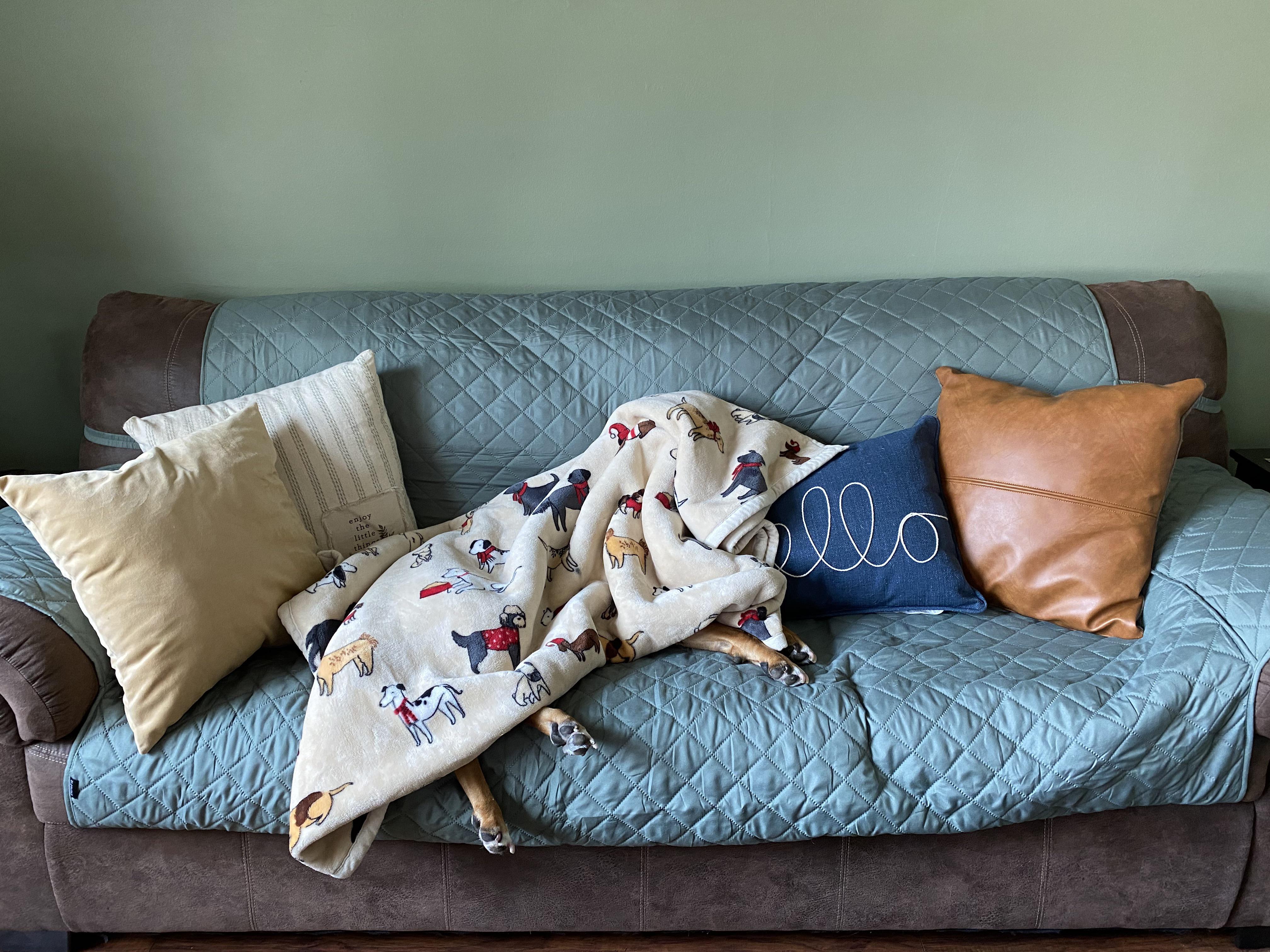 ‘ello. | Scrolller