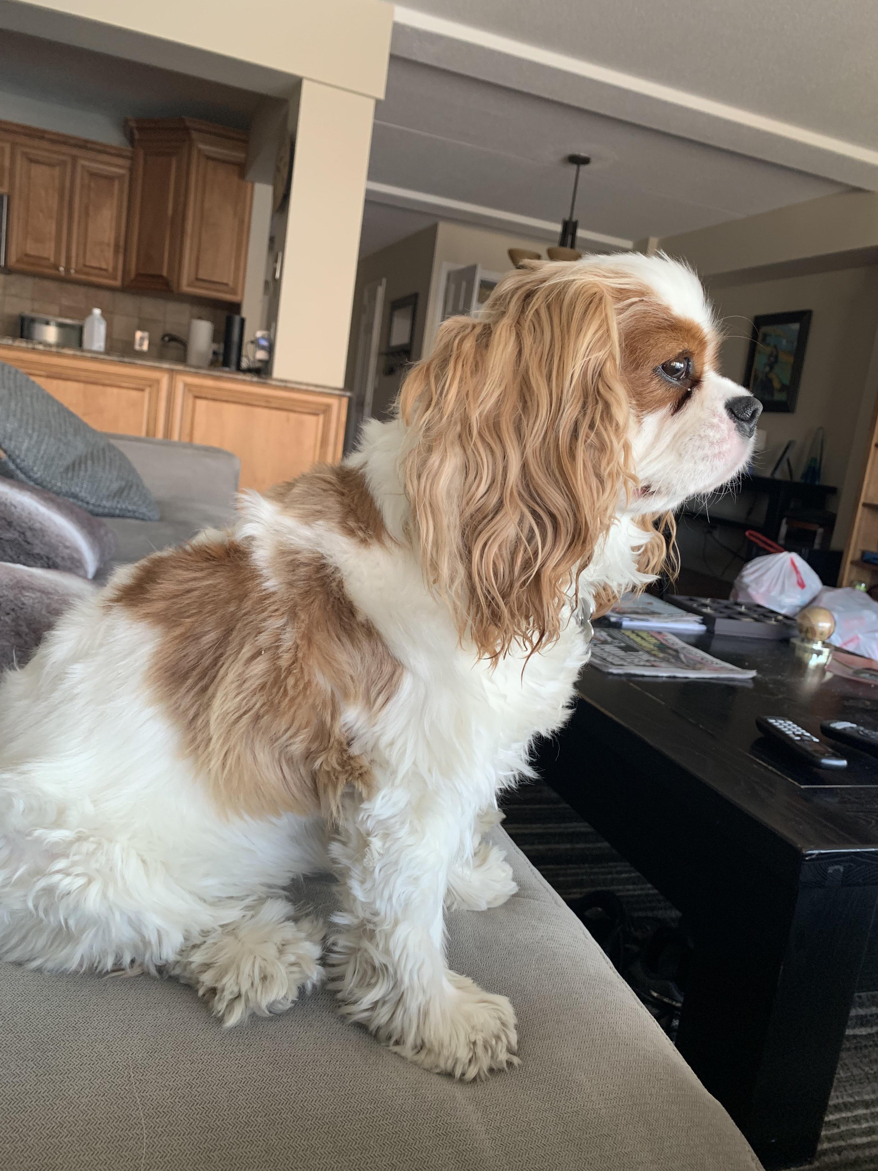 Emma is so regal :) | Scrolller