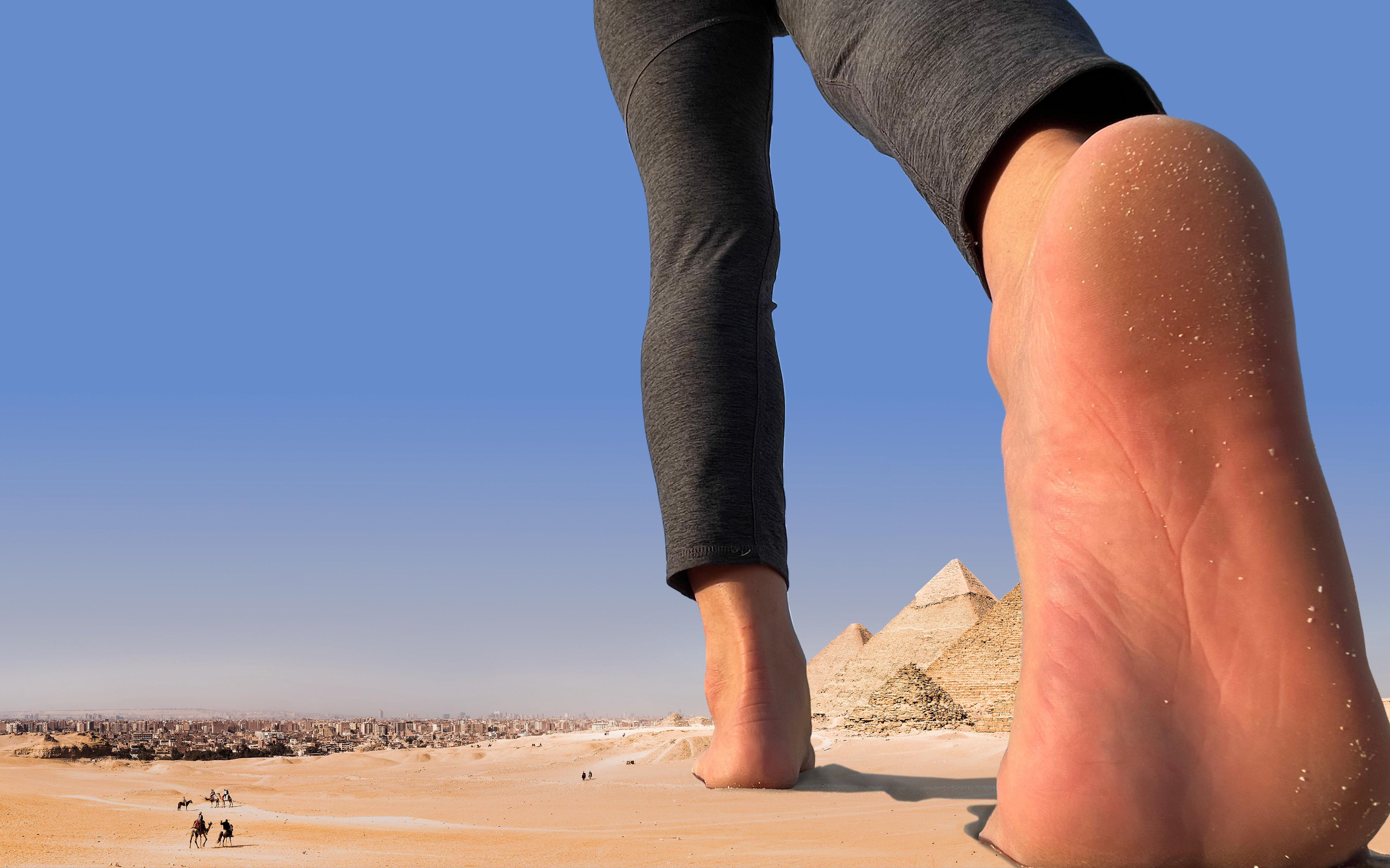 Empress Towering over Egypt! Thousands of tinies come to worship this rare spectacle! | Scrolller