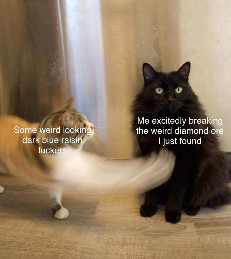 Enchanting is overrated | Scrolller