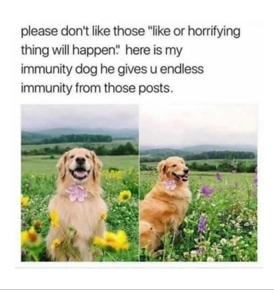 endless immunity | Scrolller