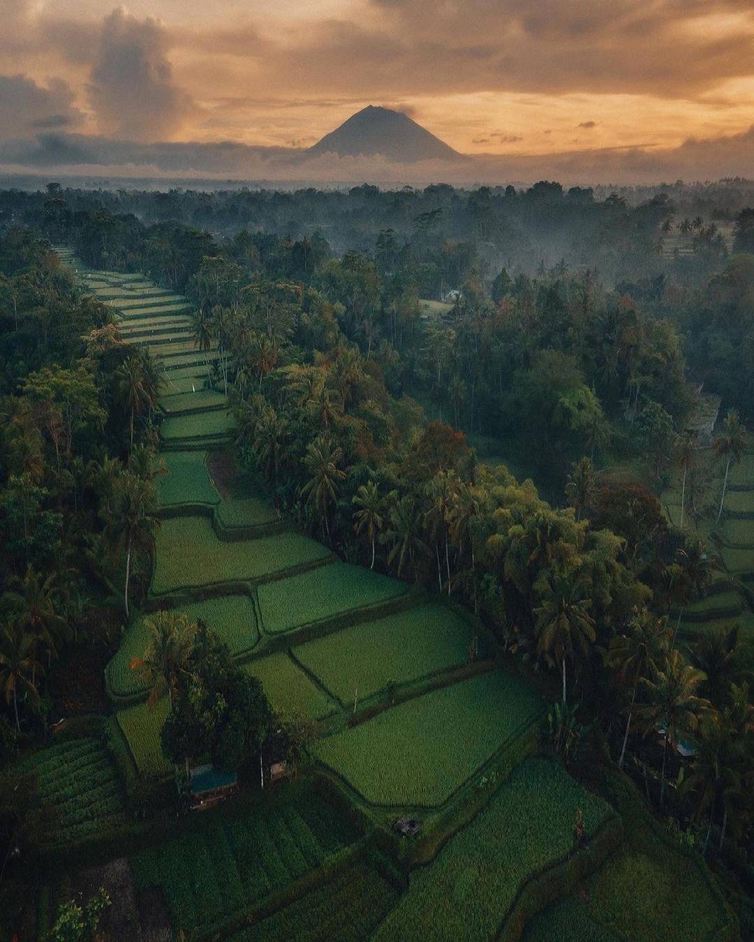 🔥 Endless layers of rice fields in Bali, Indonesia 🌾 | Scrolller