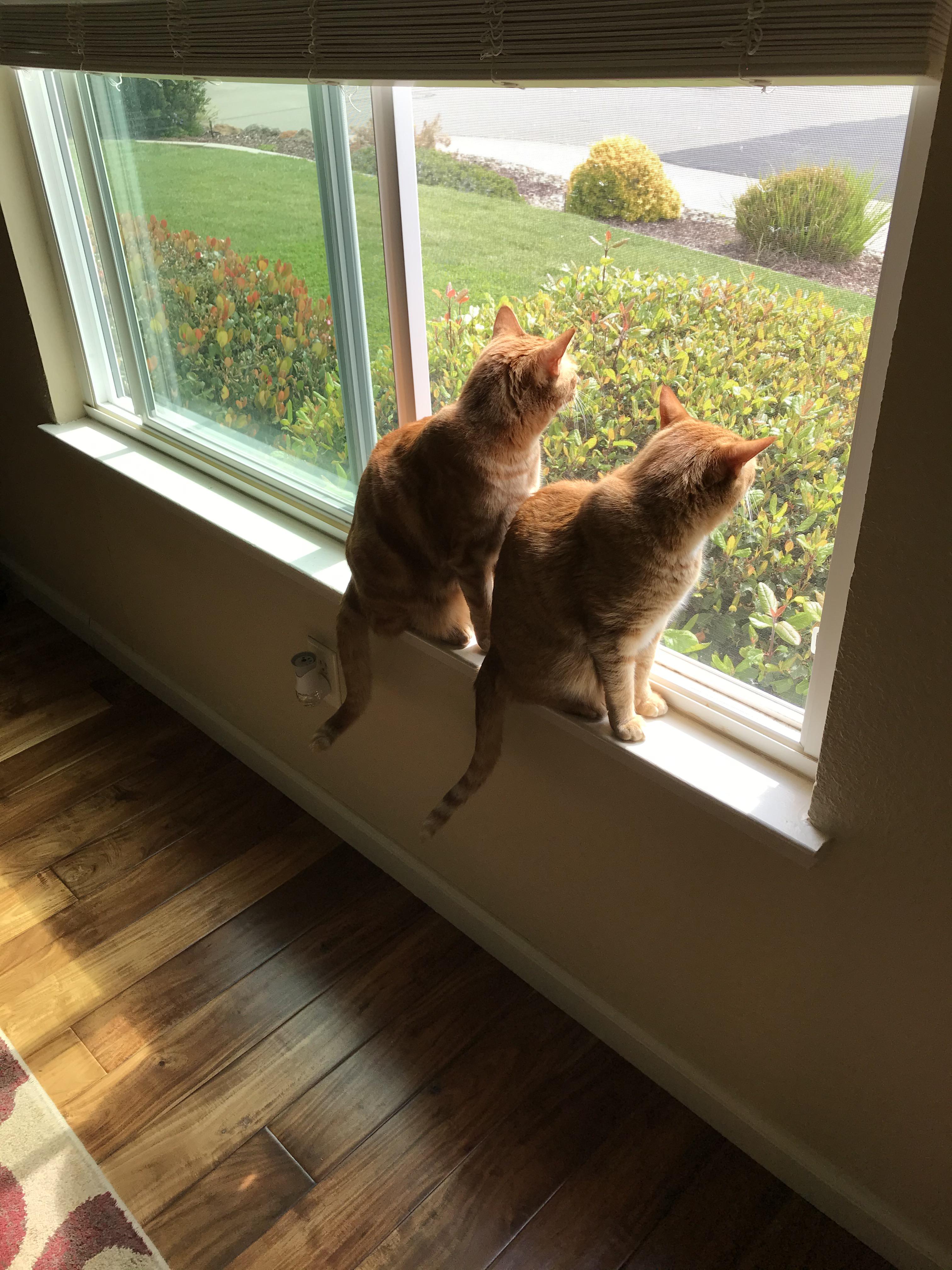 Enjoying the fresh air | Scrolller