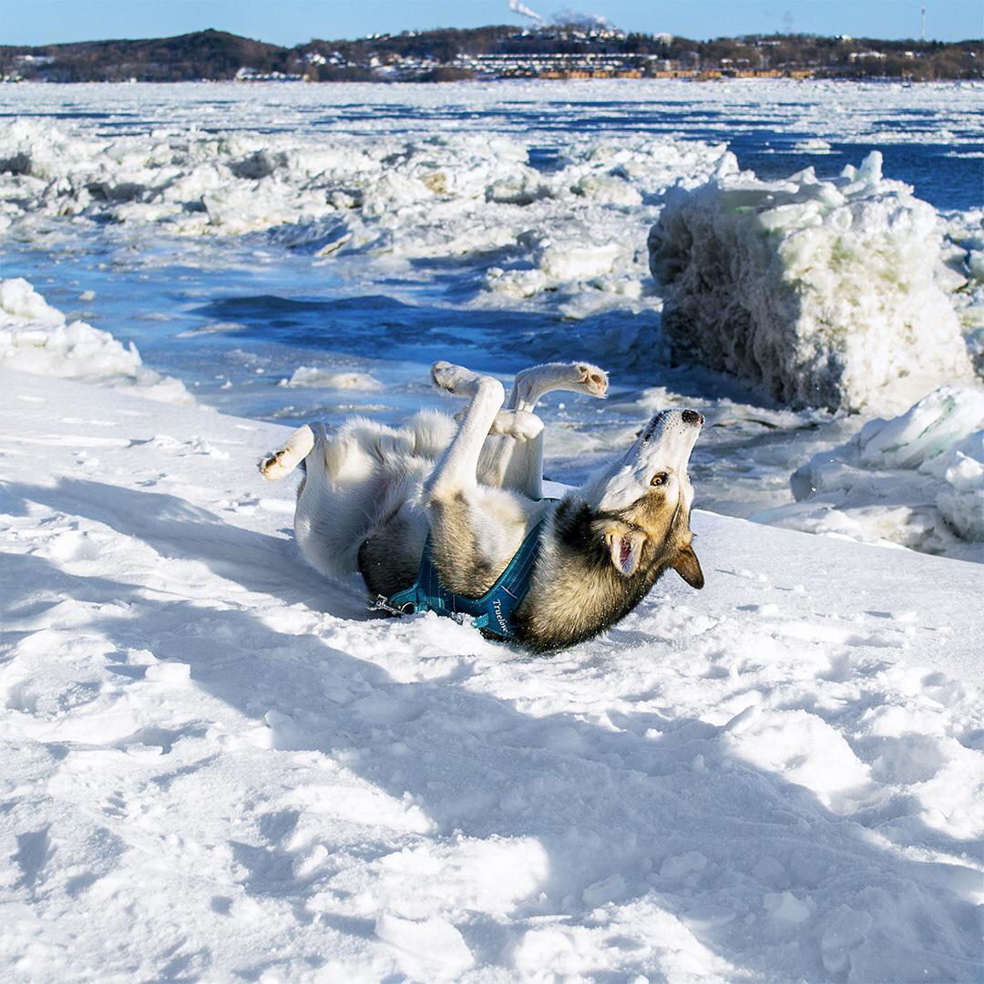 Enjoying the perfect weather | Scrolller