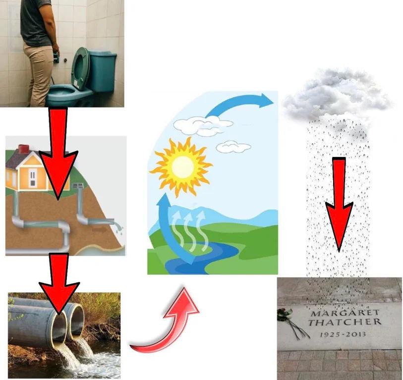 Epic rule | Scrolller