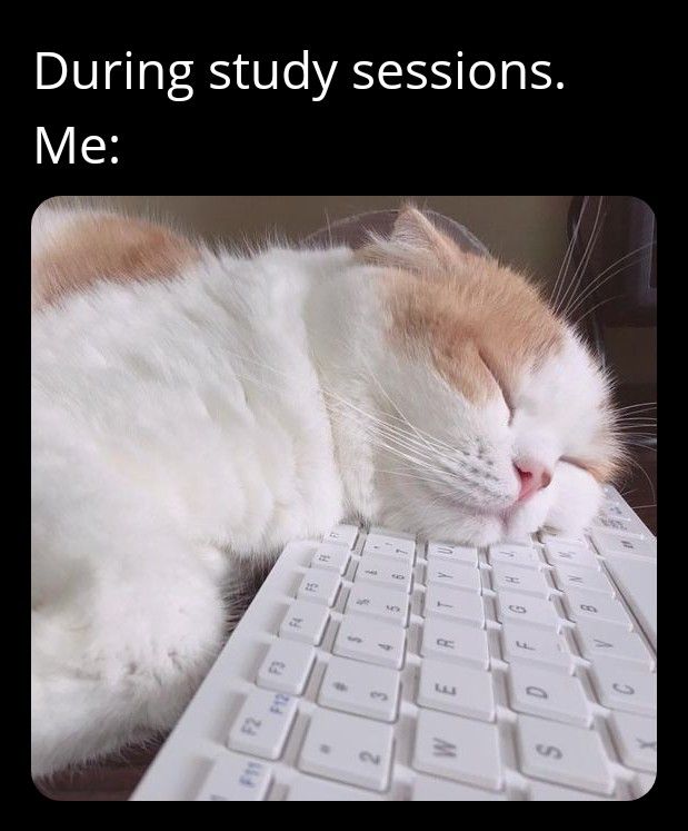 Even online classes. | Scrolller