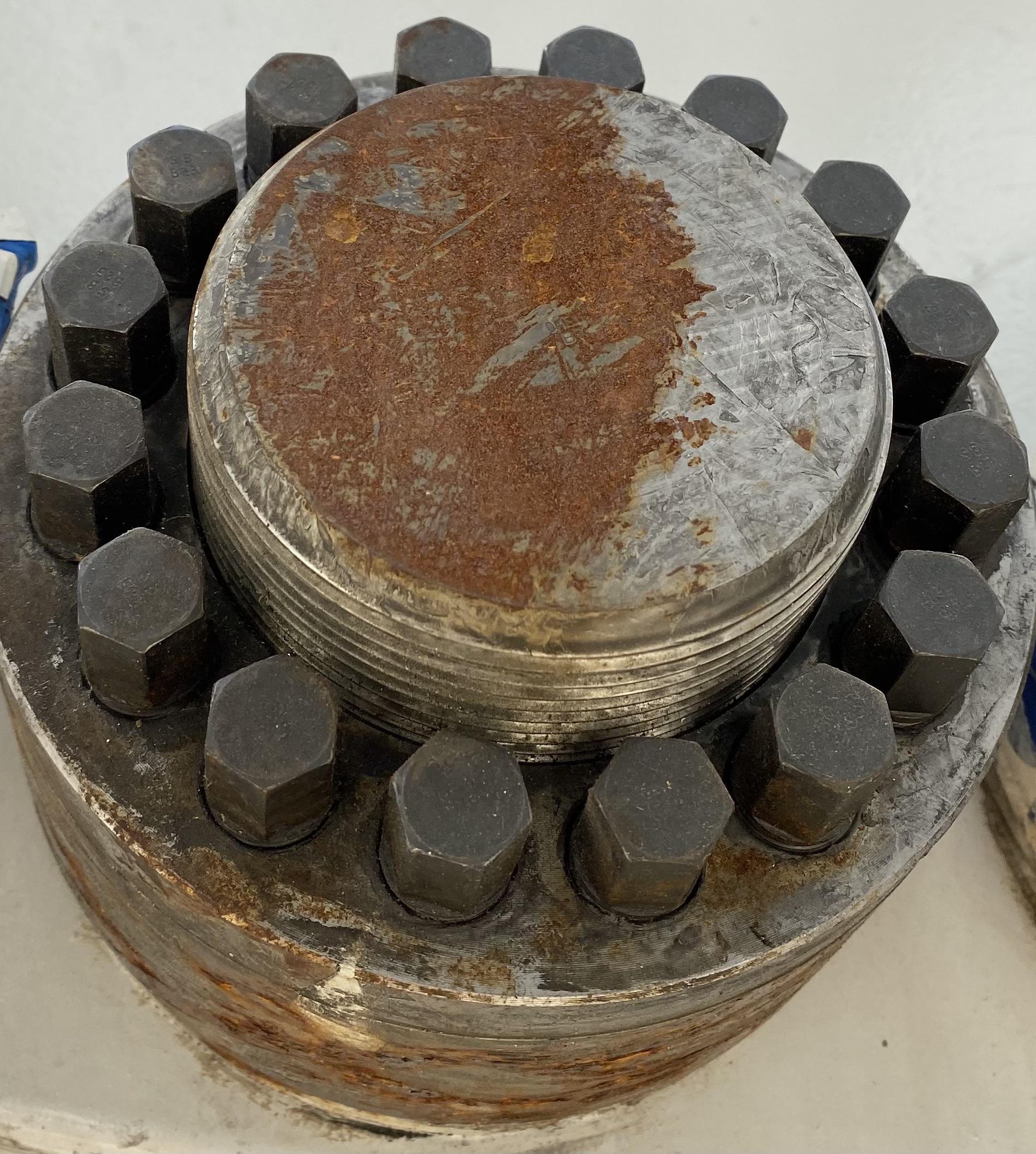 Even the nuts have bolts! | Scrolller