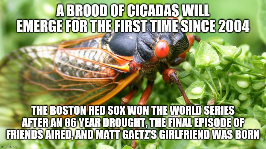 Every 17 Years... | Scrolller