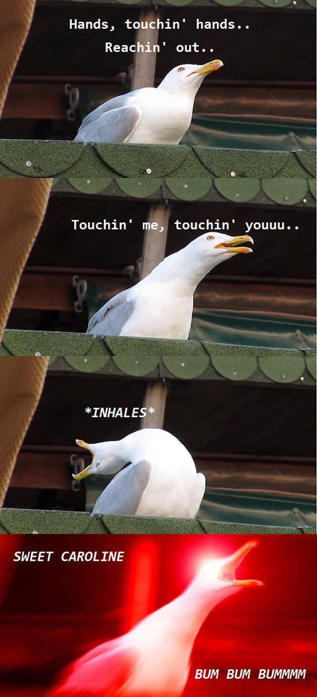 Every Athletics Event Ever | Scrolller