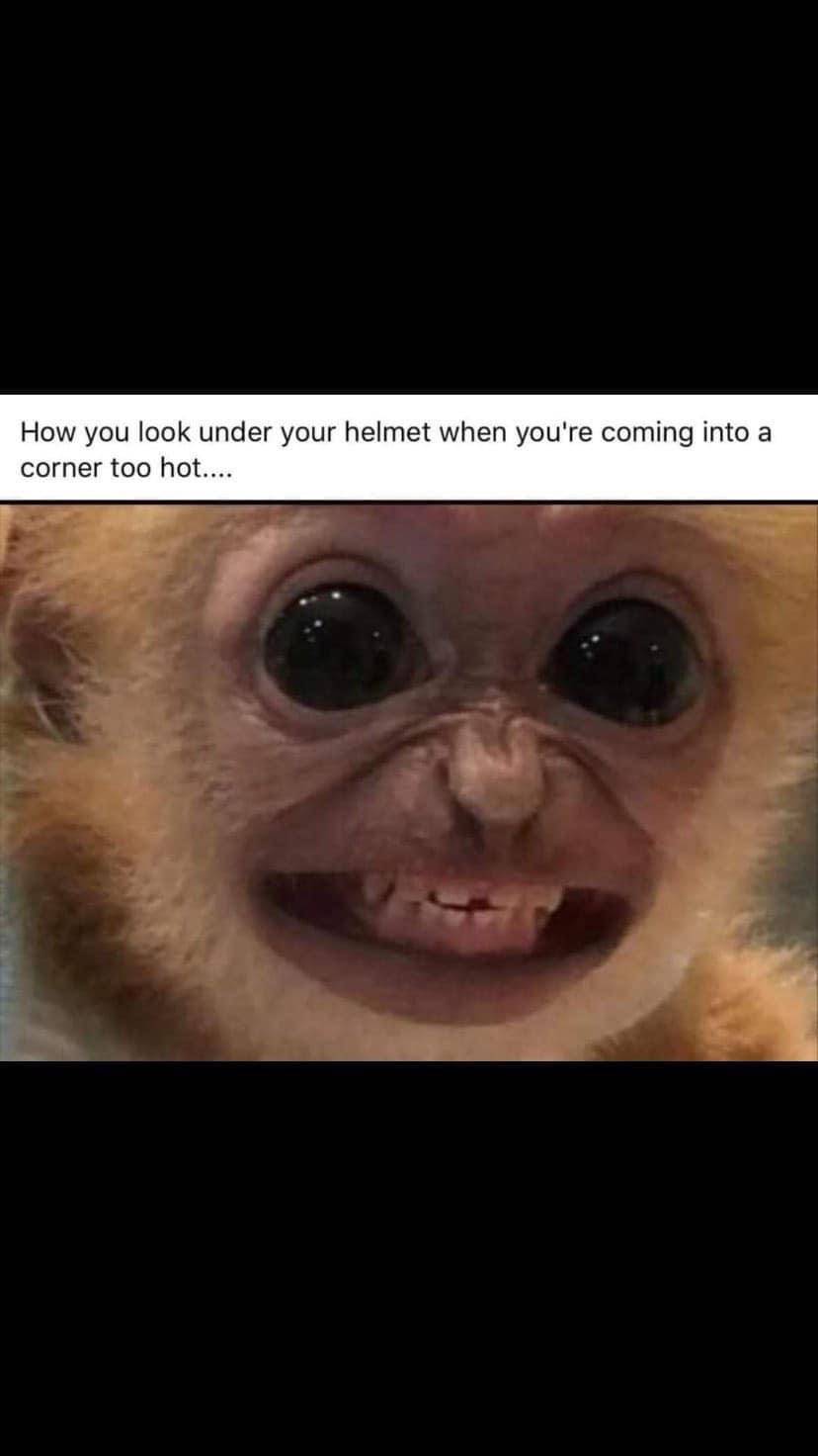 Every. Damn. Time! | Scrolller