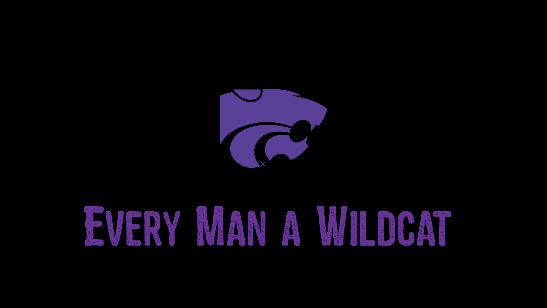 Every Man A Wildcat [OC] [1920x1080] | Scrolller