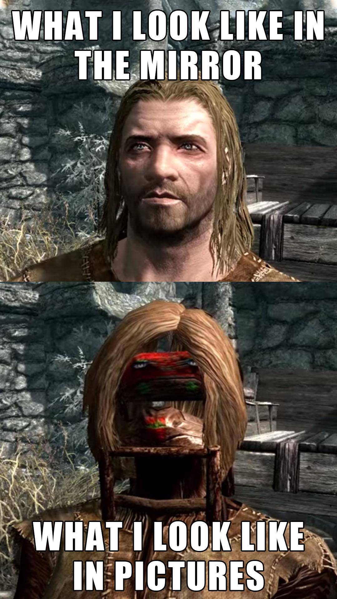 Every. Single. Picture. | Scrolller