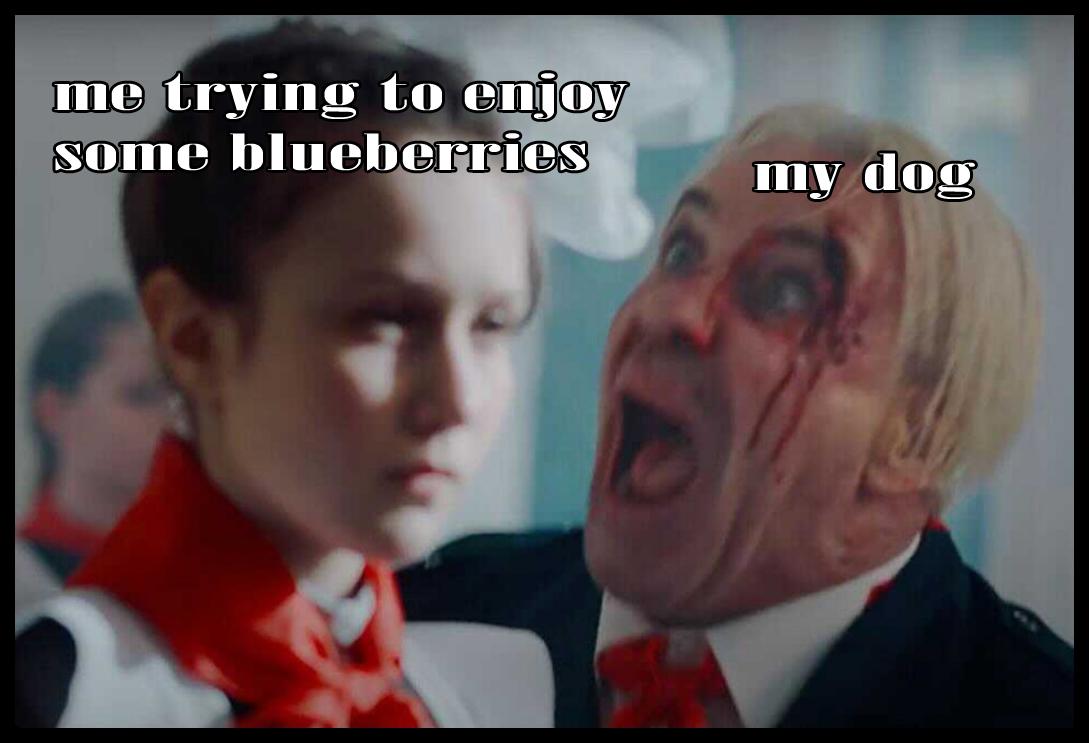 Every! Single! Time! | Scrolller