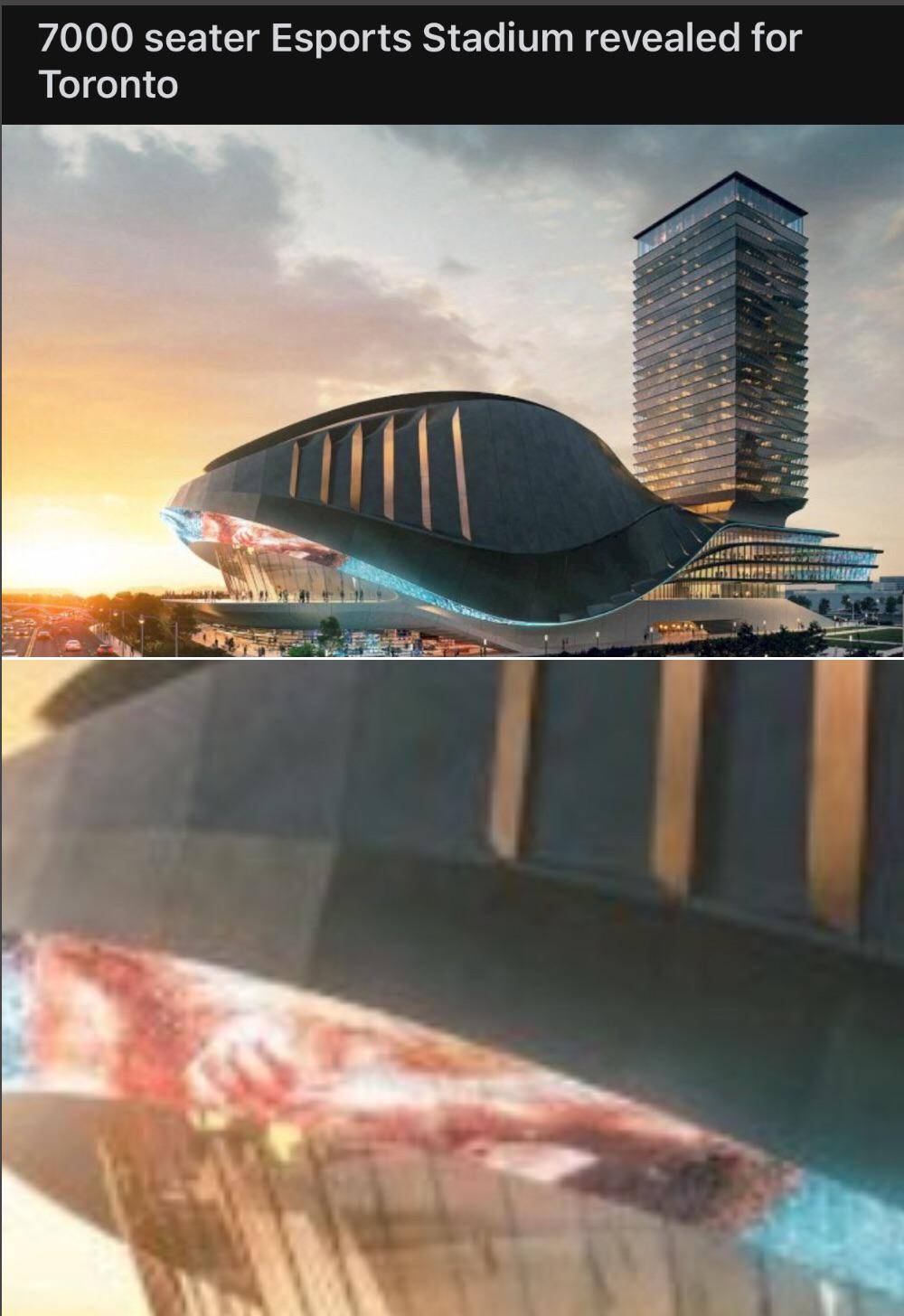 Everywhere | Scrolller