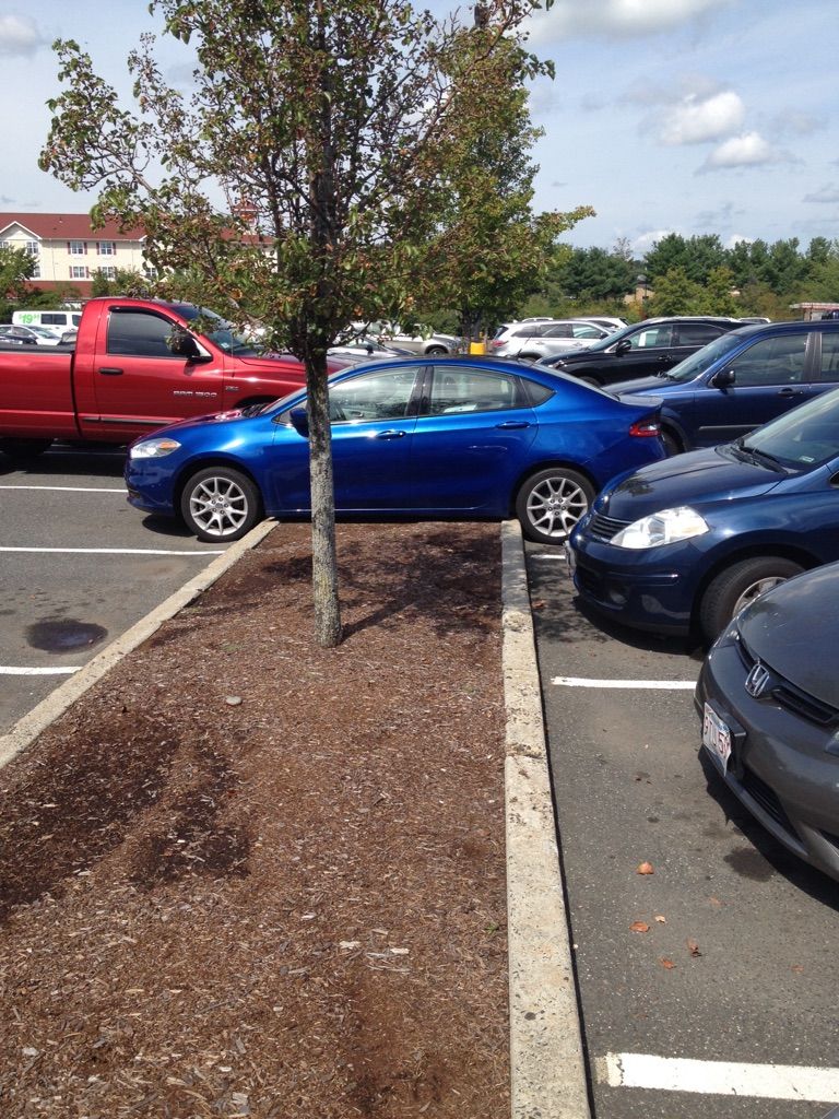 Excellent parking job | Scrolller