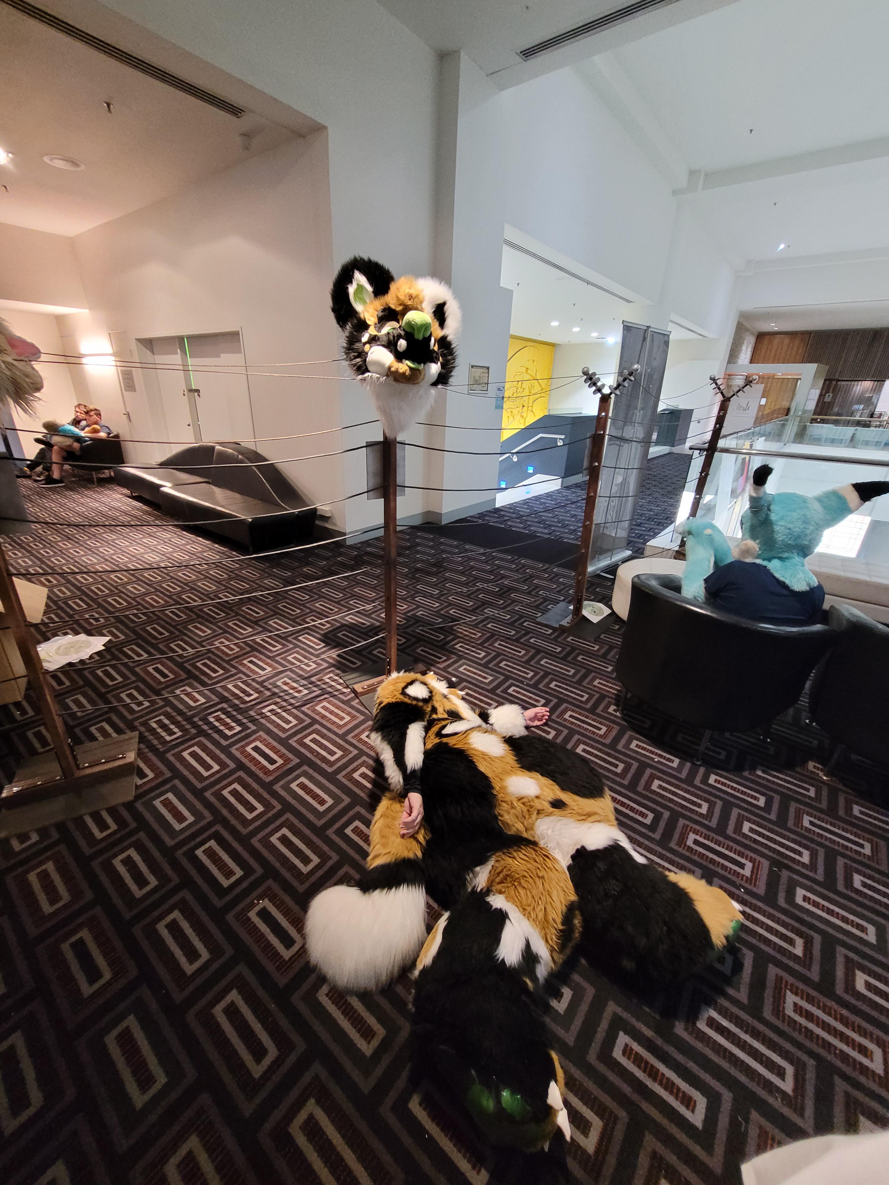 Execution🪓IRL | Scrolller