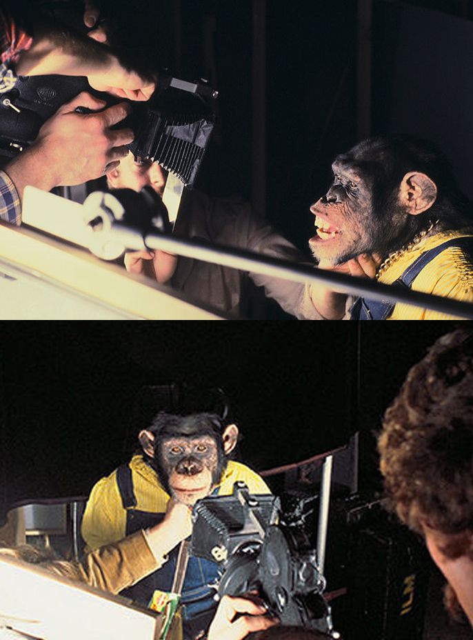 Eyes of an Emperor. In The Empire Strikes Back (pre-changes), the Emperor's eyes were played by ...