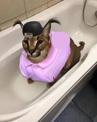 F-boy floppa | Scrolller