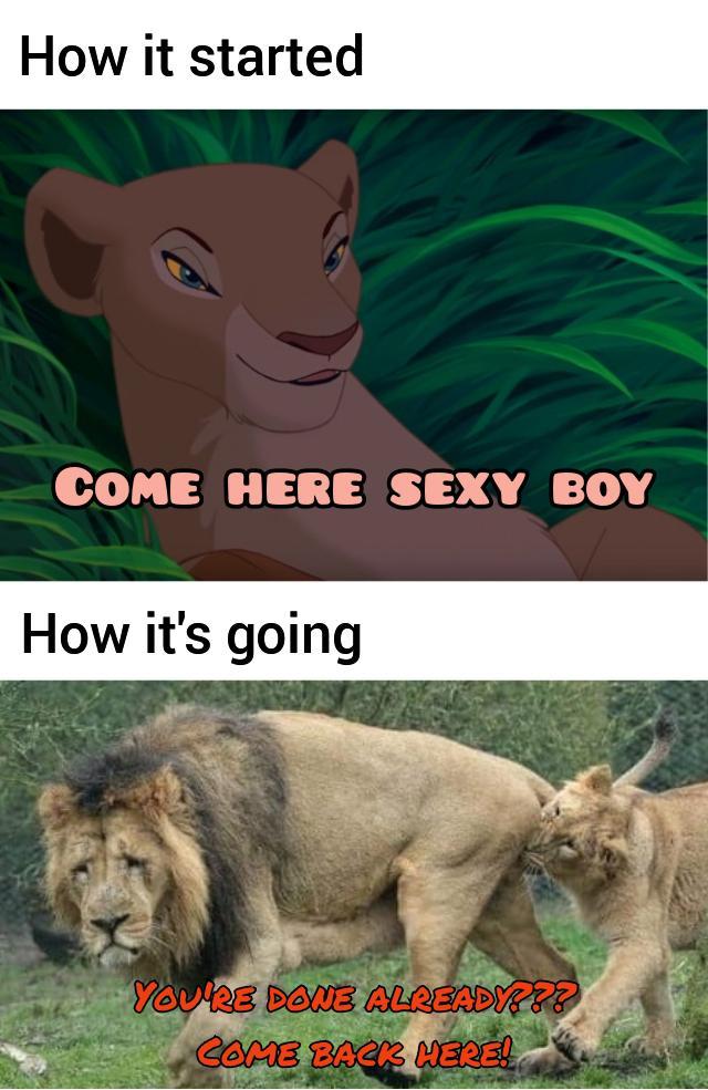 F to Simba | Scrolller