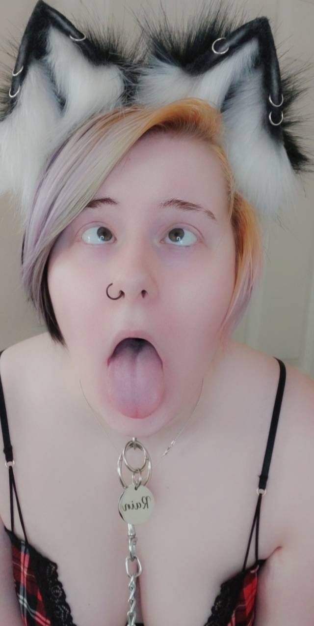 (F19) leashed kitten! ⛓🐾 | Scrolller