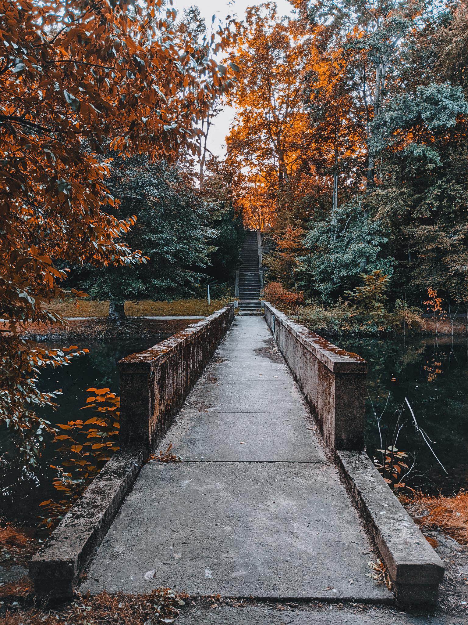 Fall in New England (4A 5G) | Scrolller