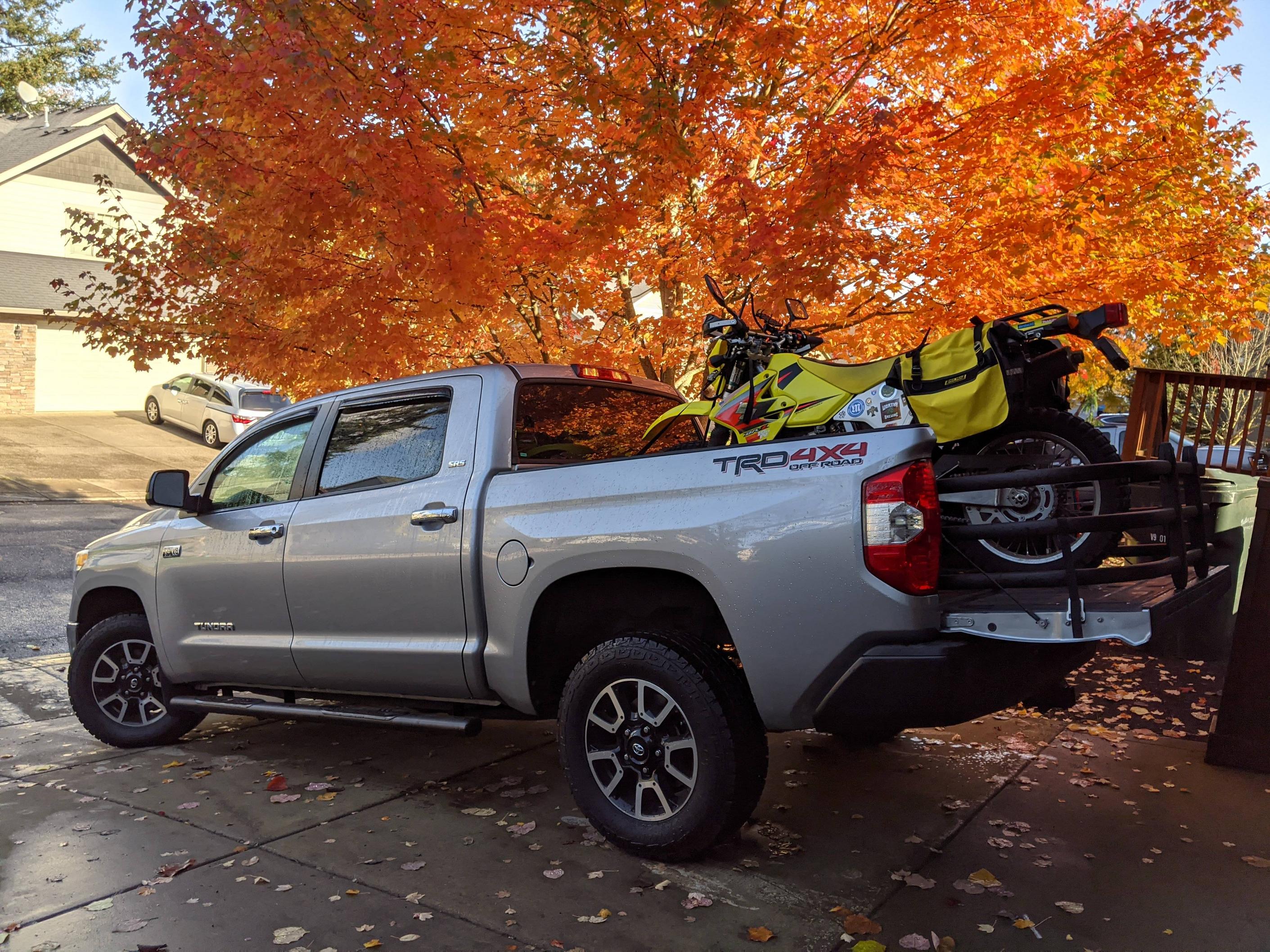 Fall in the PNW | Scrolller