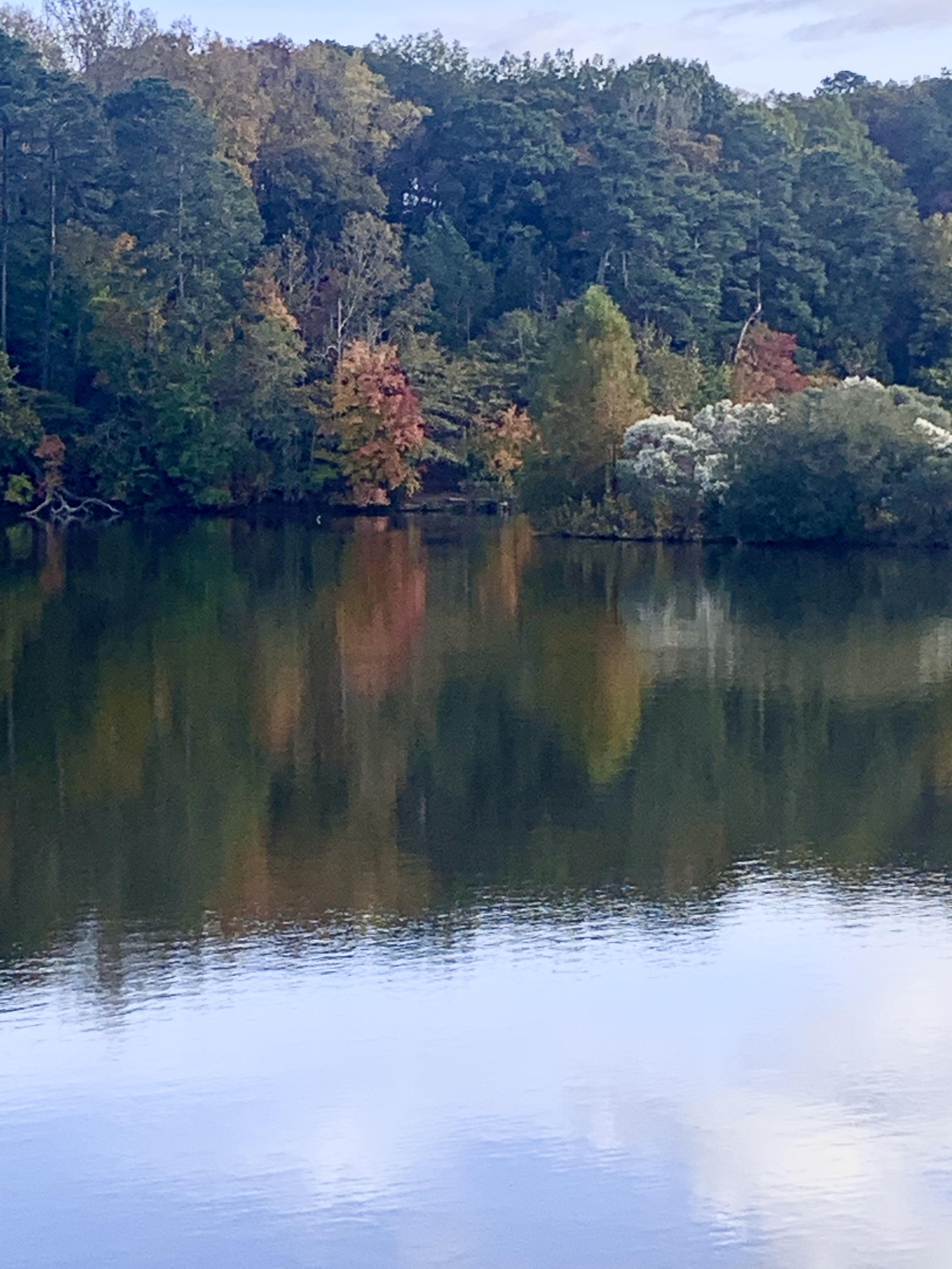 Fall is peaking. | Scrolller