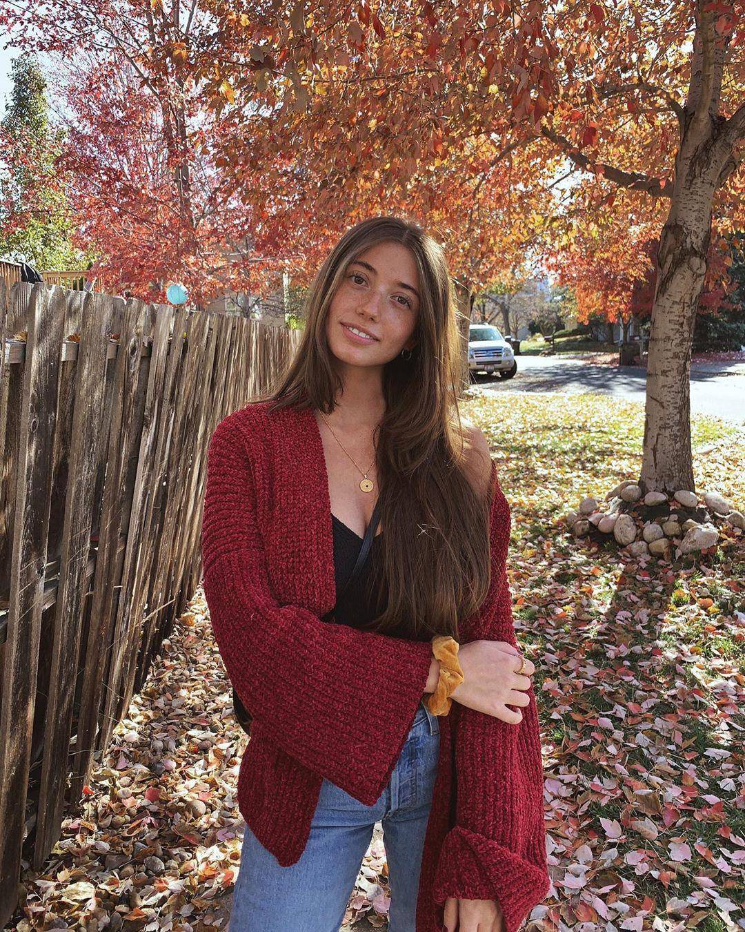 Fall leafs 2 | Scrolller