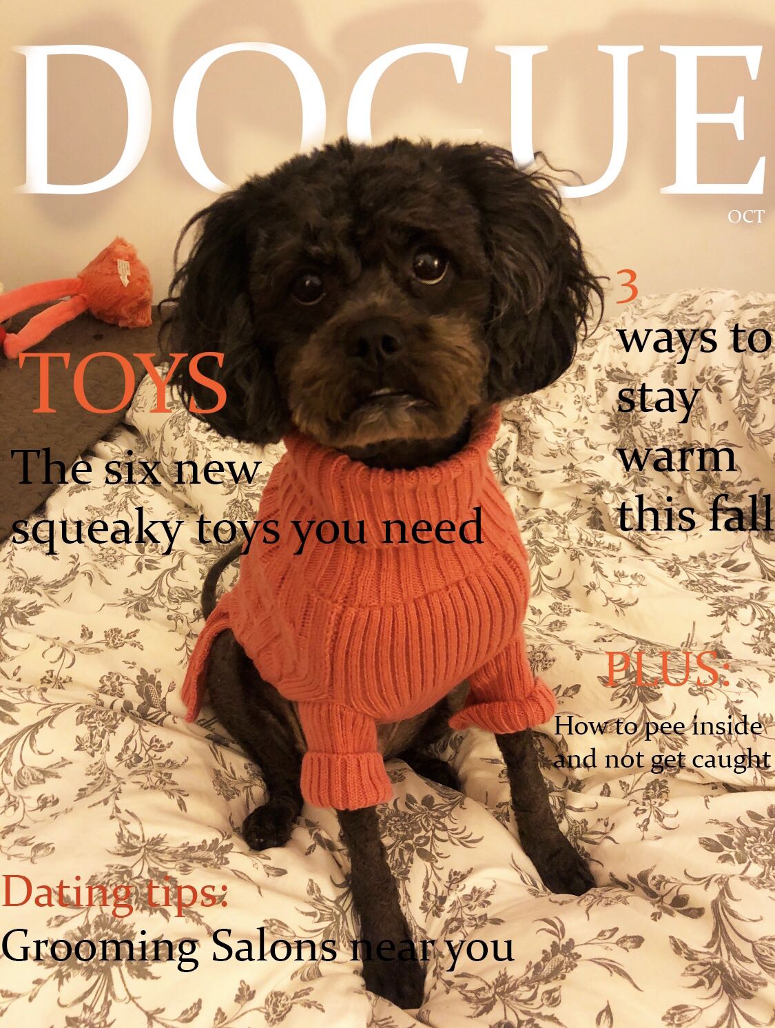 Fall Puppy | Scrolller