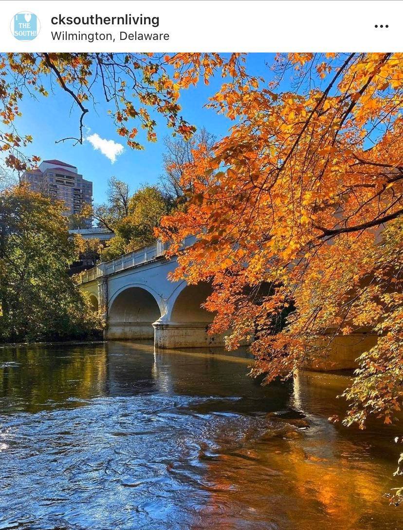 Fall scene in Wilmington, DE. | Scrolller