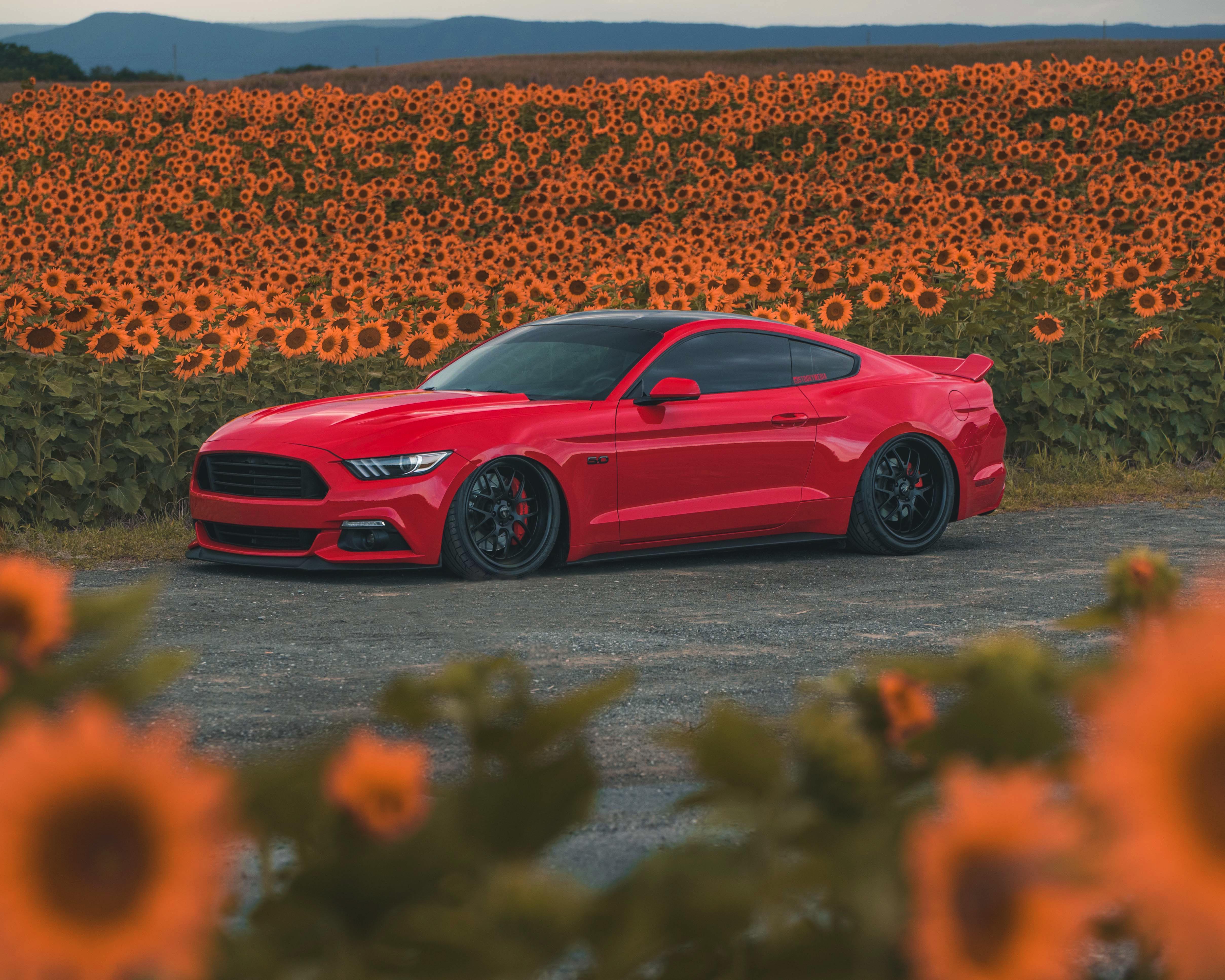 Fall stylized shot. | Scrolller