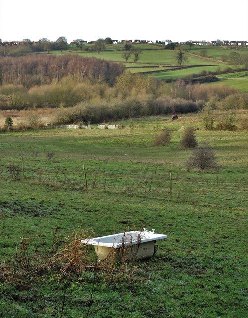 Fancy a bath anyone? | Scrolller