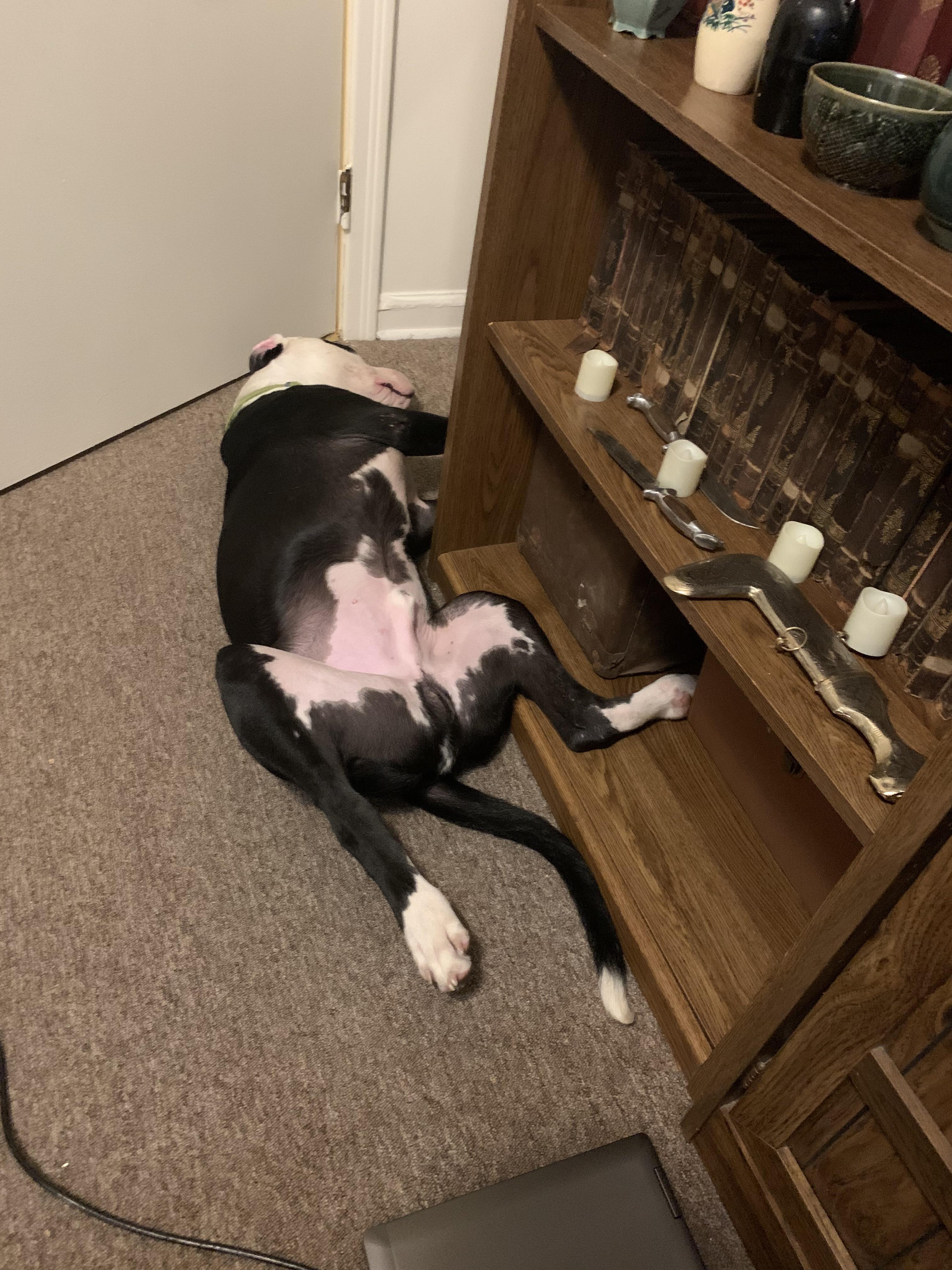 Fast Asleep Scrolller