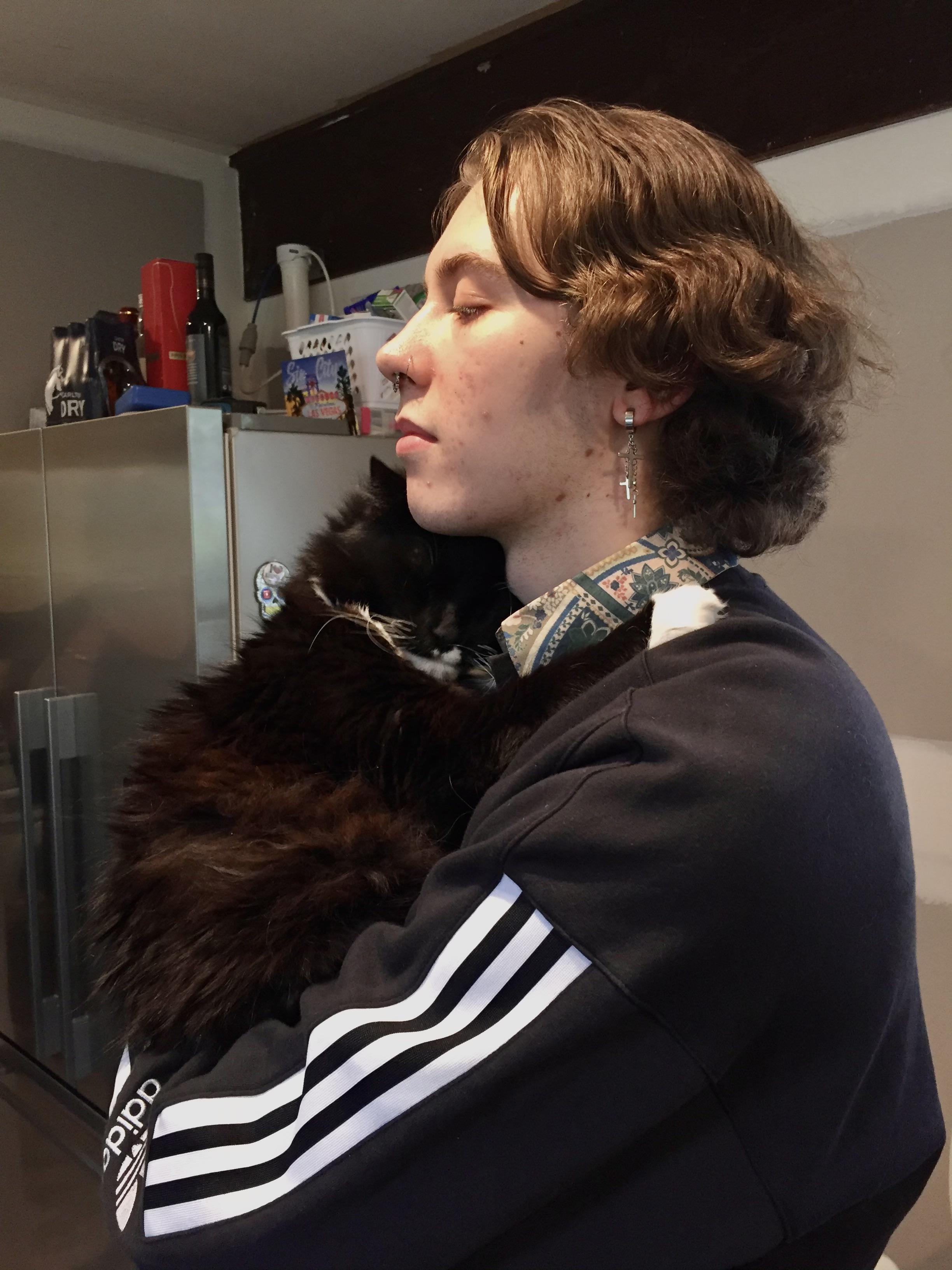 fat cats = better hugs | Scrolller