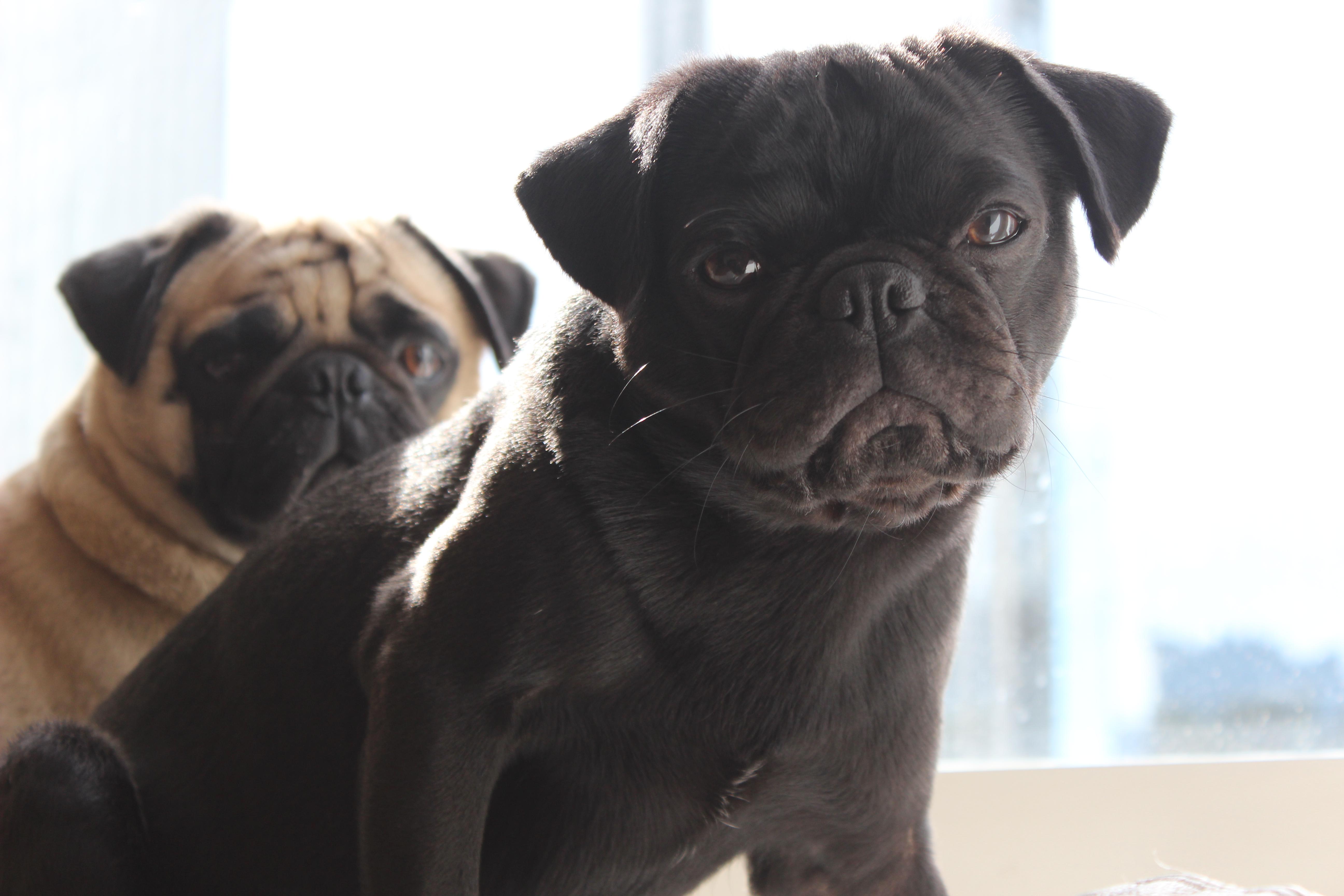 Father & Son | Scrolller