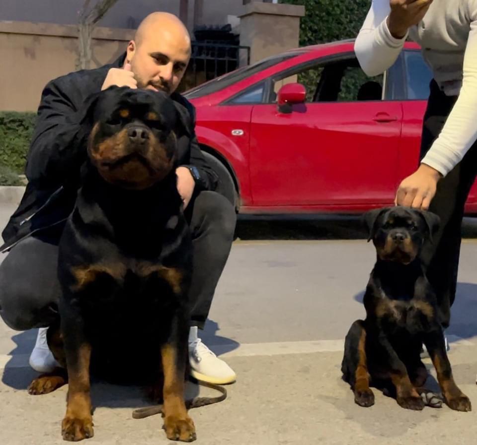 Father And Son ♥️ Scrolller