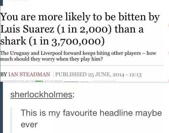 Favorite headline | Scrolller