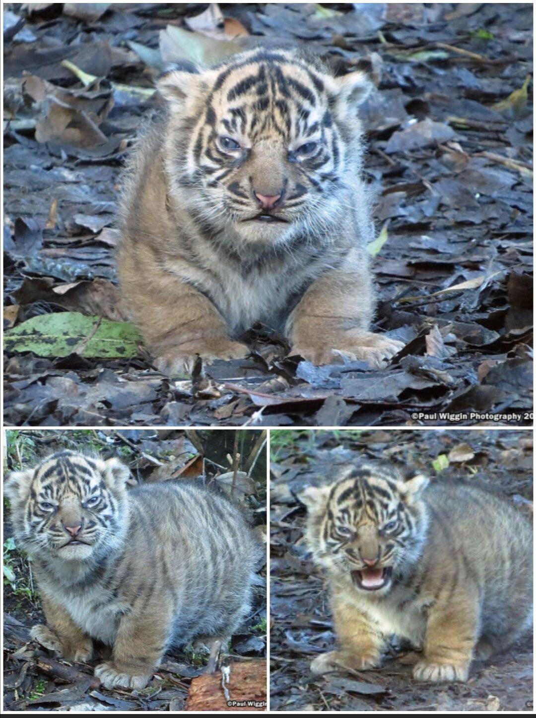 Fear him | Scrolller