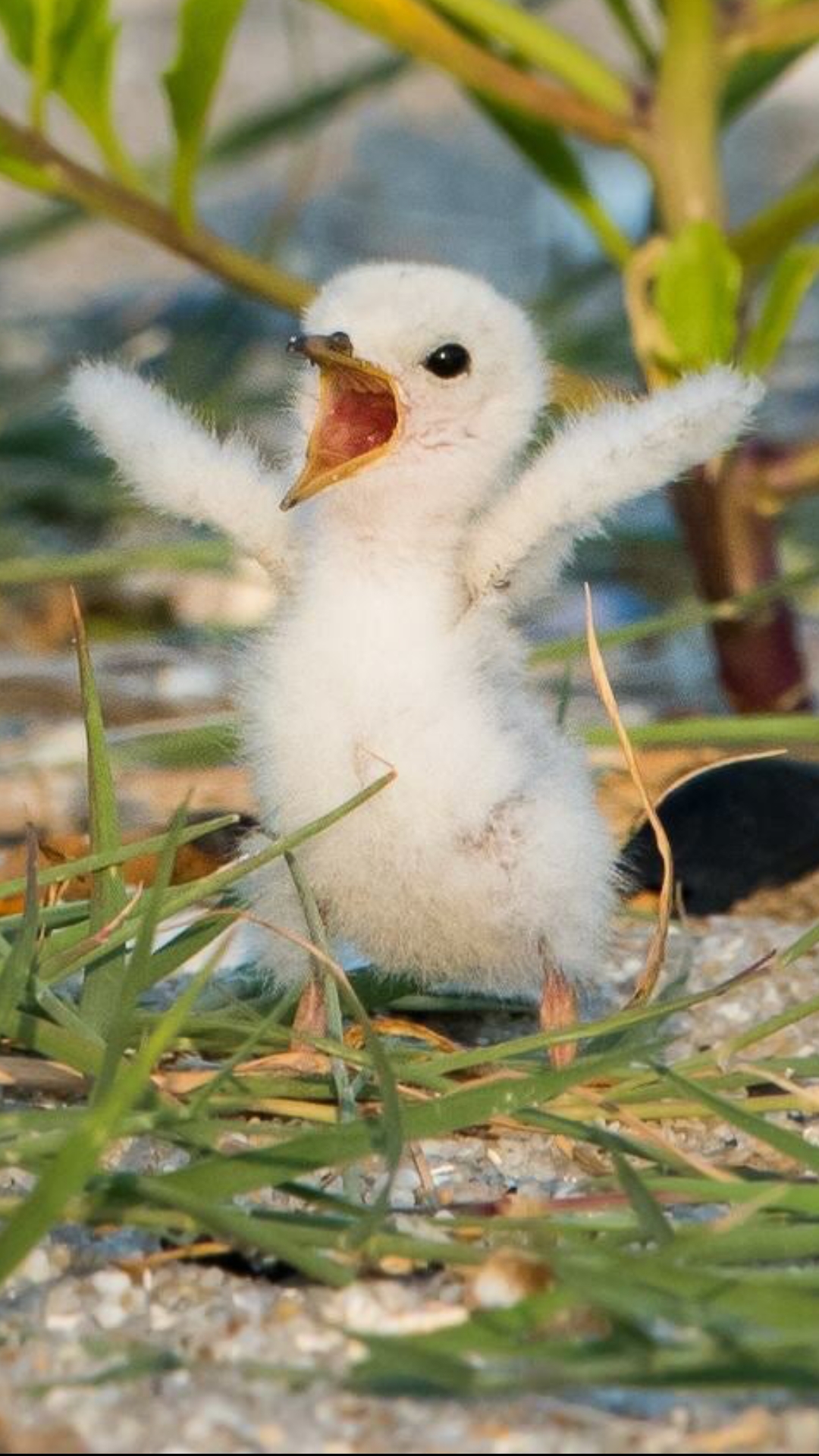 Fear me, mortals! | Scrolller