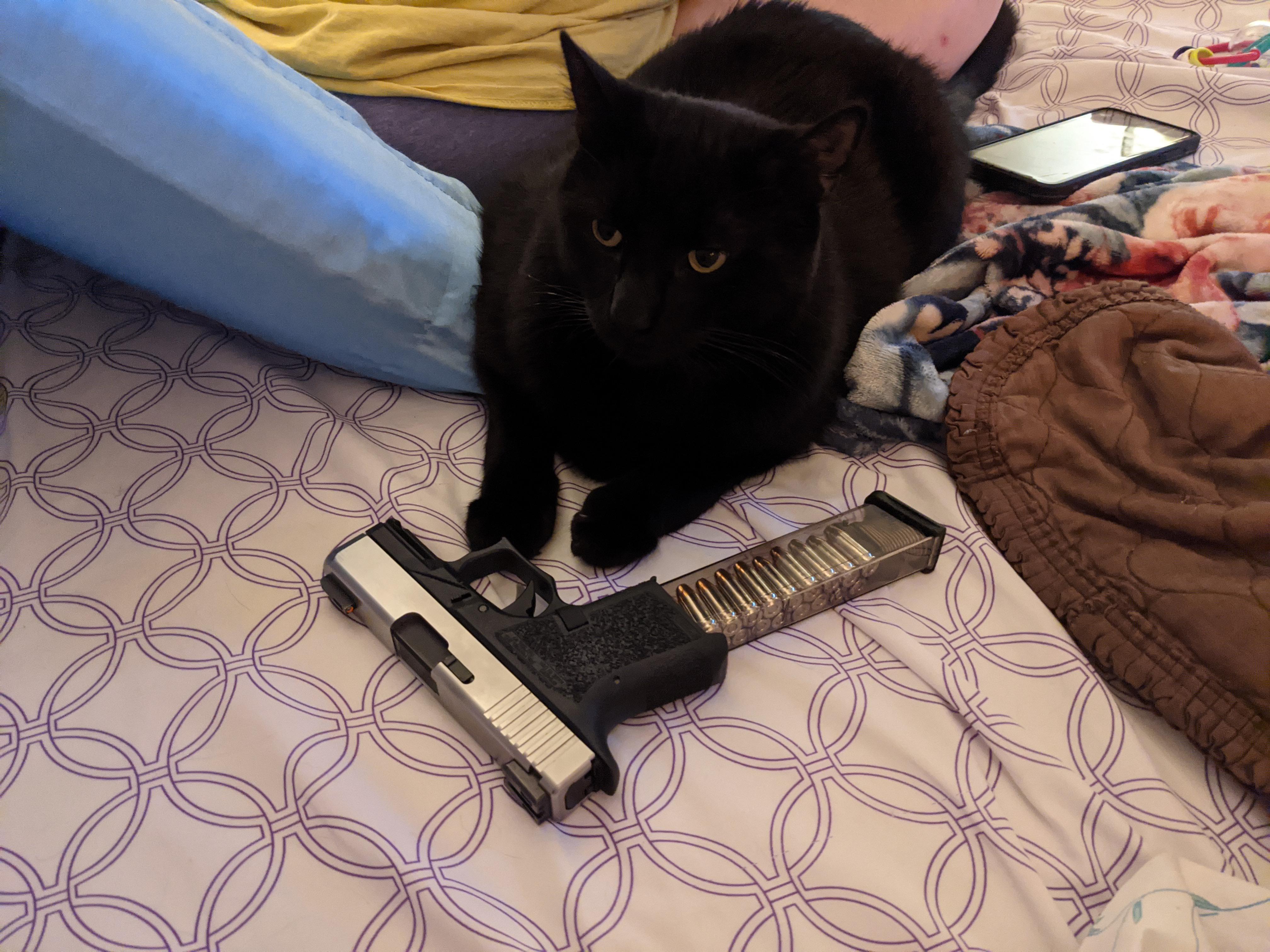 Fearless gat cat loves his high cap mags of BG stoppers! | Scrolller