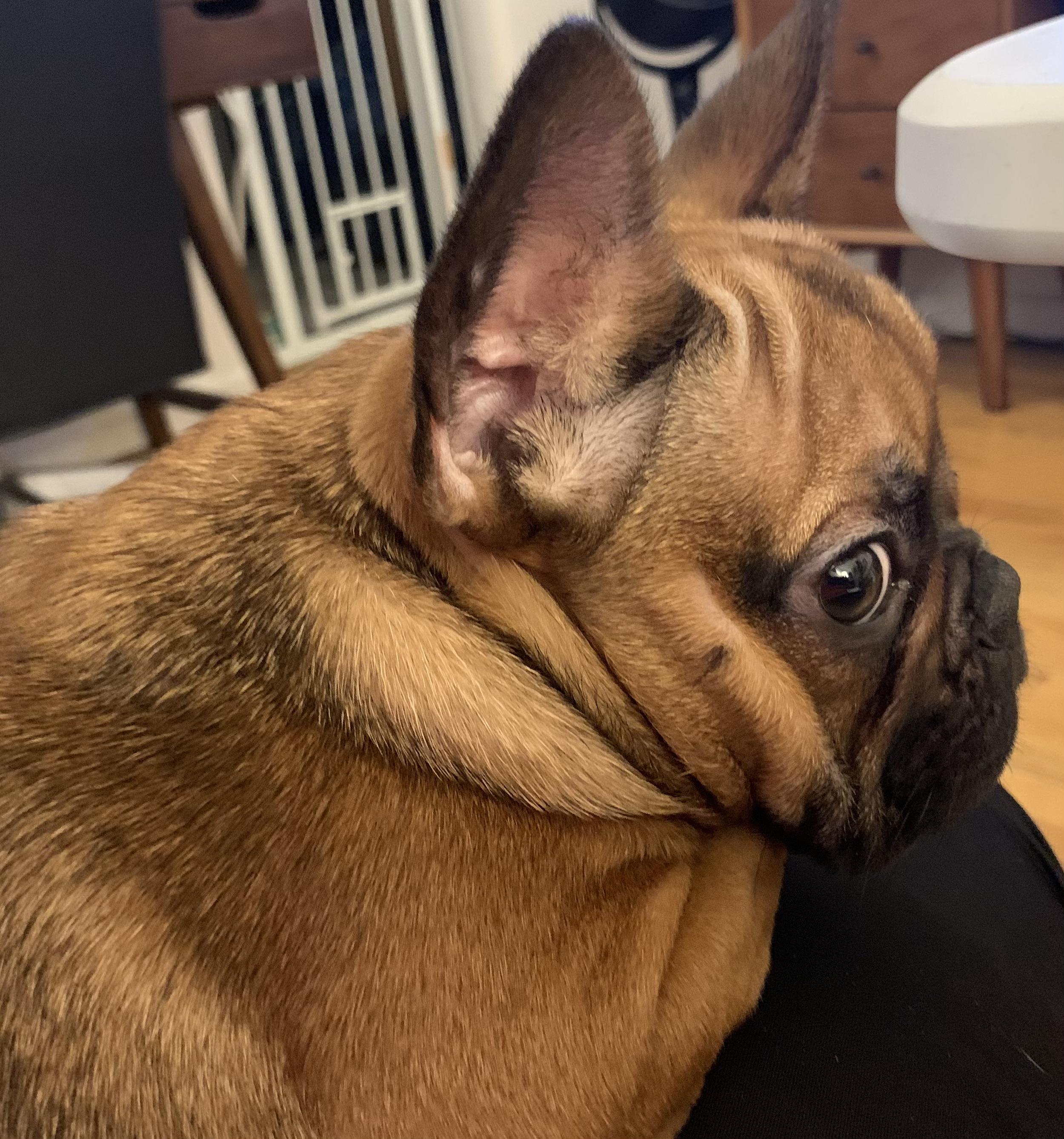 Feeling a bit bashful | Scrolller