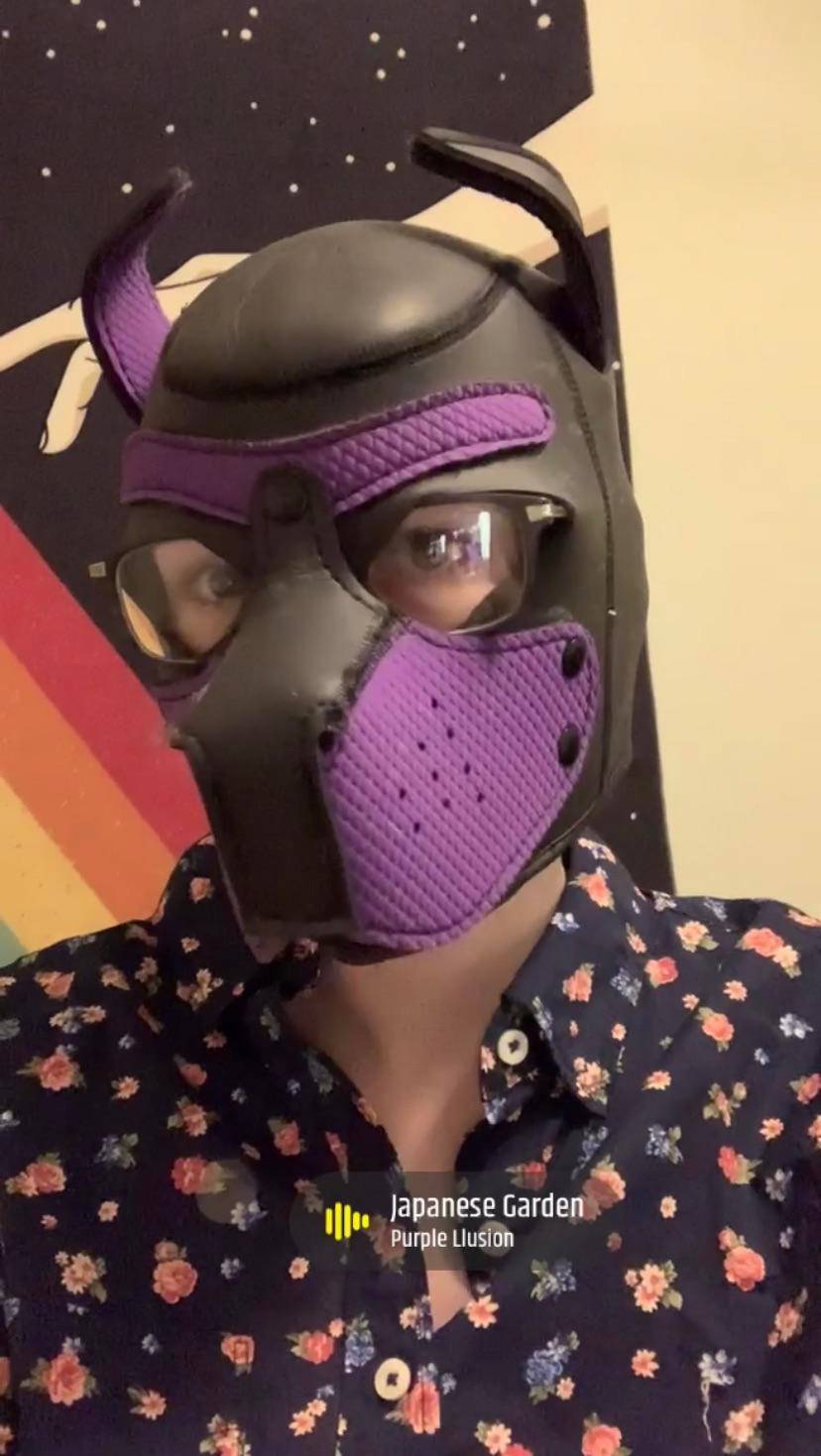 Feeling like such a handsome subby dapper puppy | Scrolller