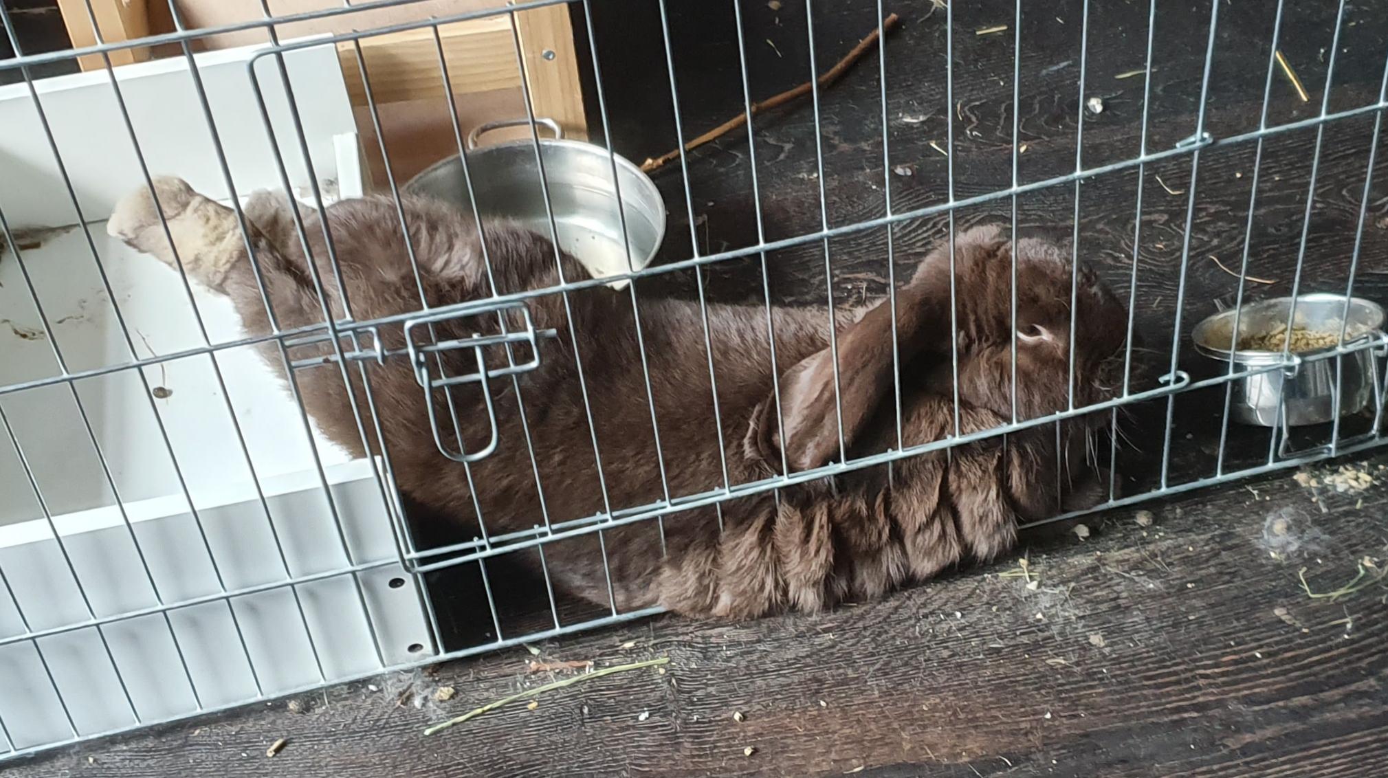 Feetsies up | Scrolller