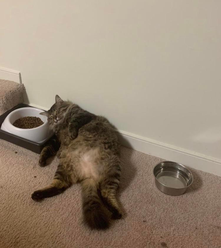 fell asleep 😳 | Scrolller