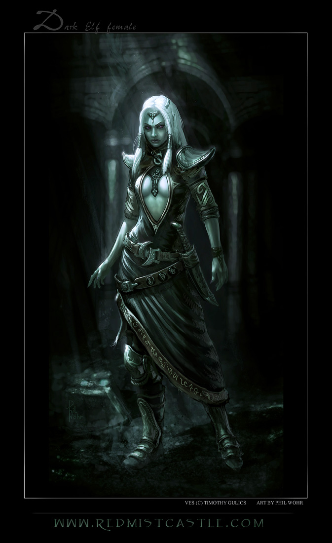 Female Dark Elf by Phil Wohr | Scrolller