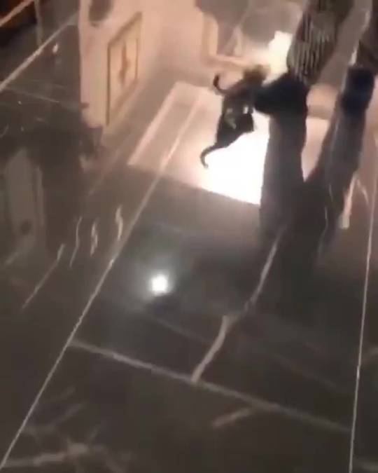 fetch !! | Scrolller