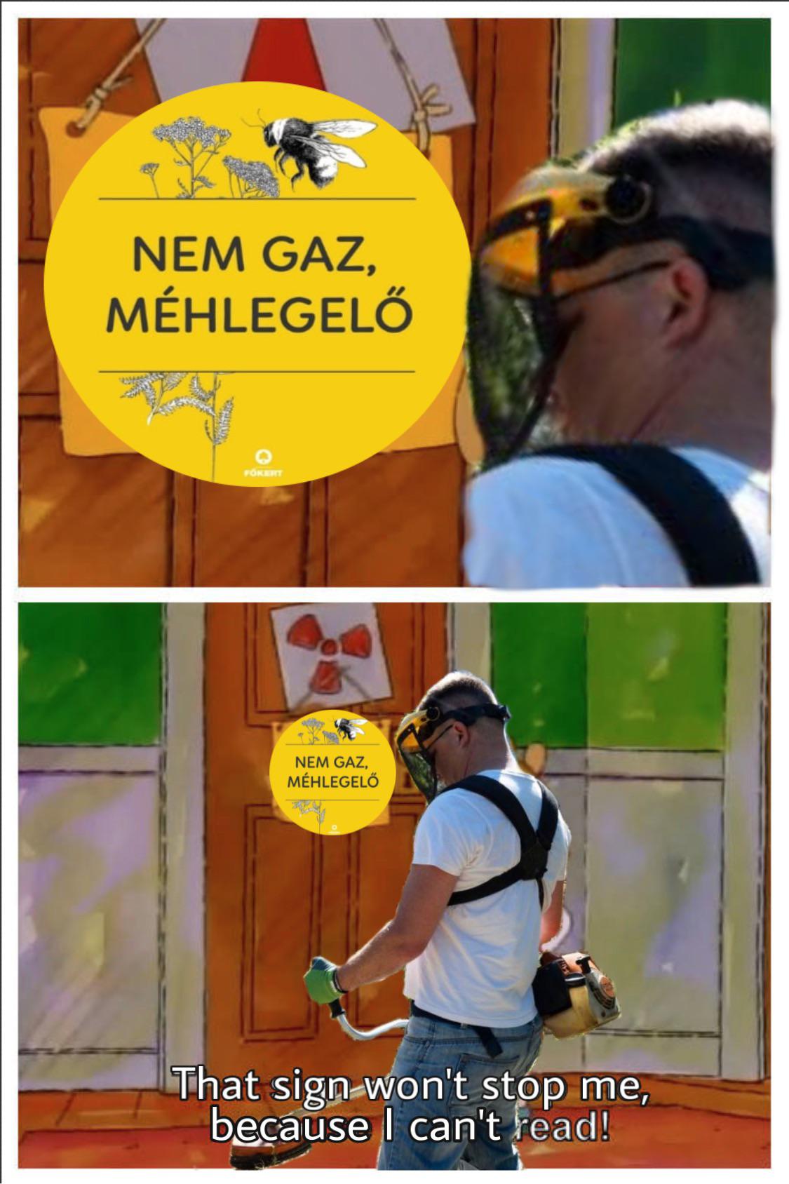 Fidelitas Arthur | Scrolller