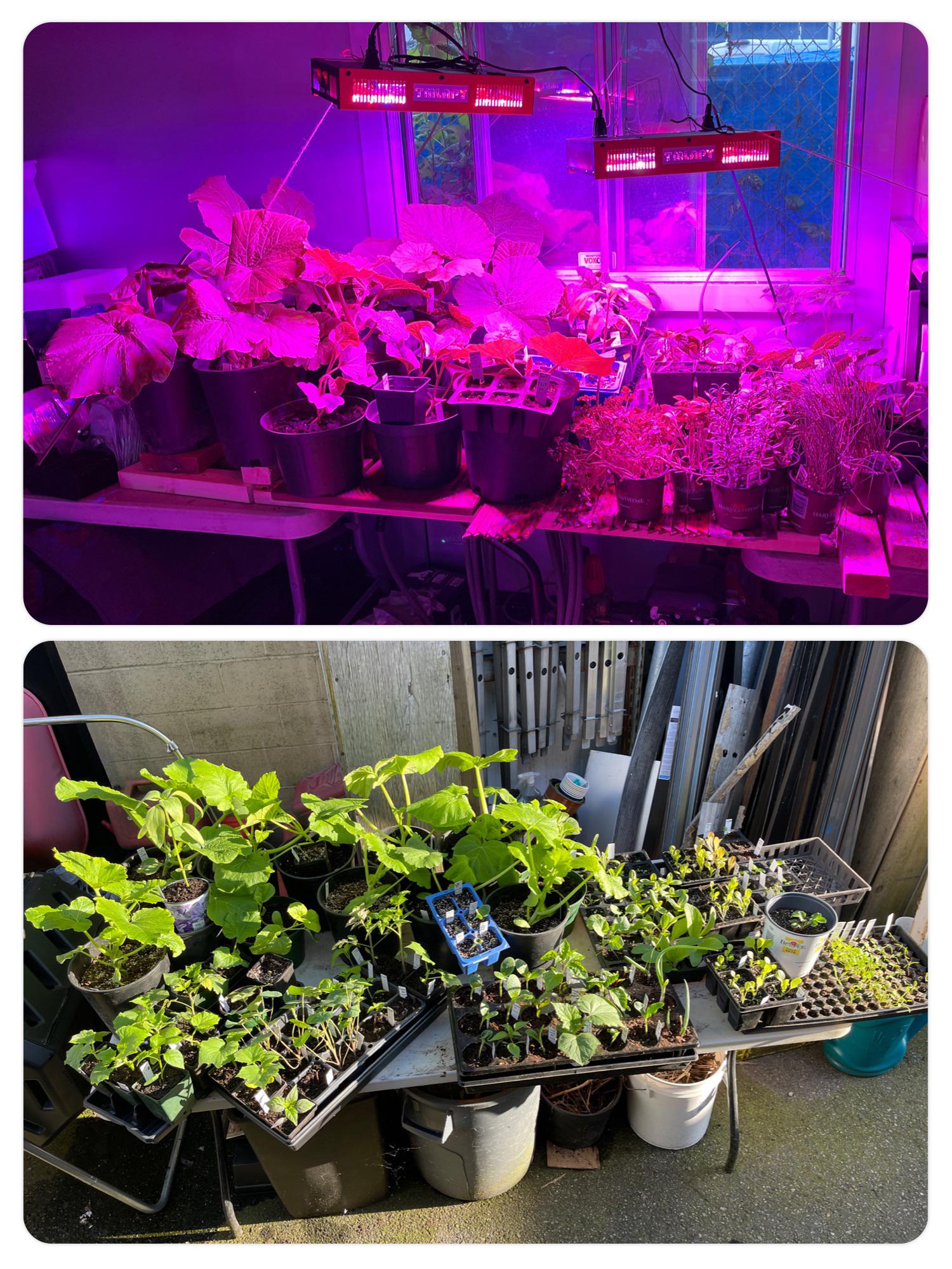 Field trip outside | Scrolller