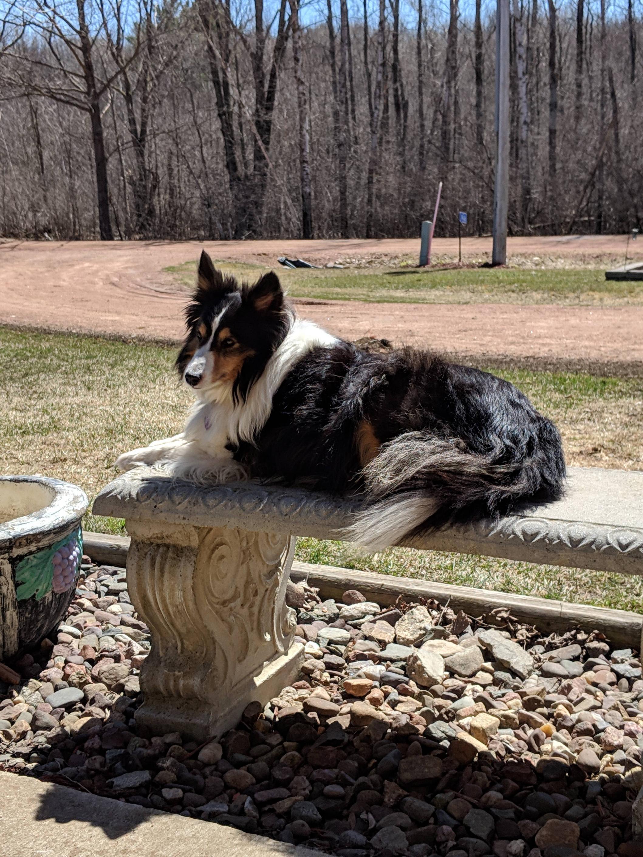 Finally able to enjoy the sun outside | Scrolller